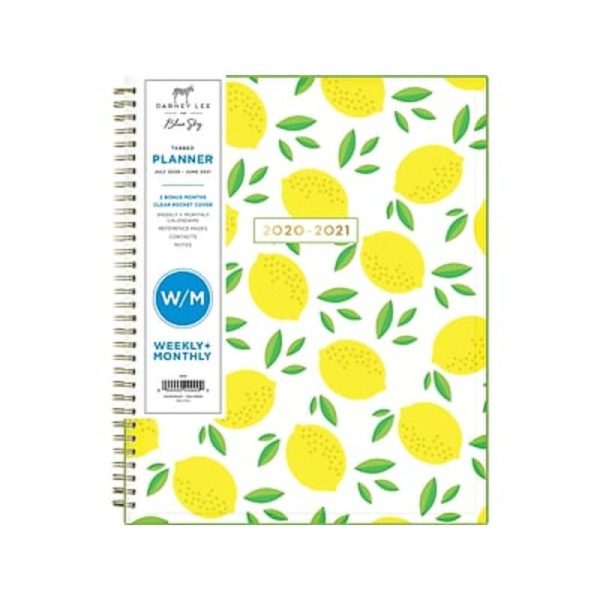 Dabney Lee For Blue Sky Tabbed Planner July 2020 - June 2021 Assorted ...